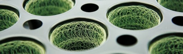 Klasmann-Deilmann takes over international distribution of Growcoon ...