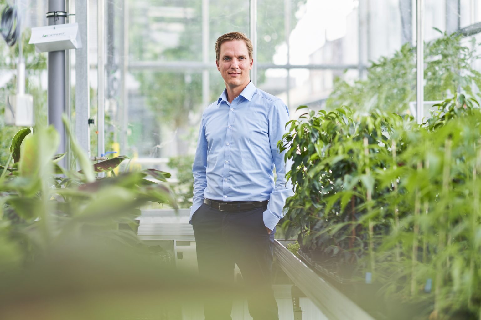 Mikrobiell angereicherte Substrate - Klasmann-Deilmann