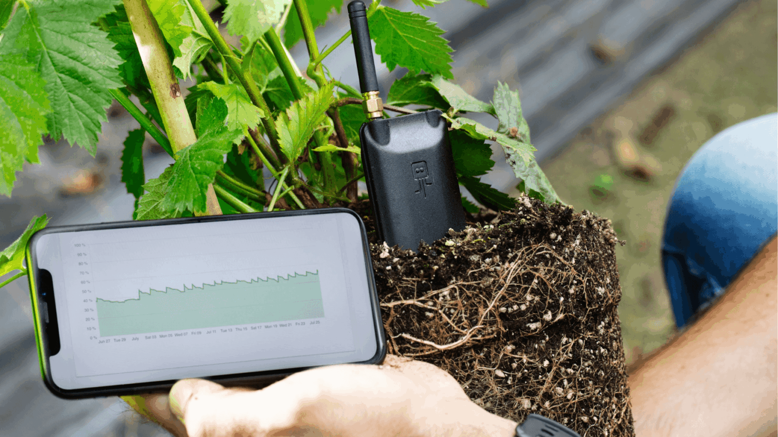 Log & Solve: crop monitoring with data that makes the difference ...