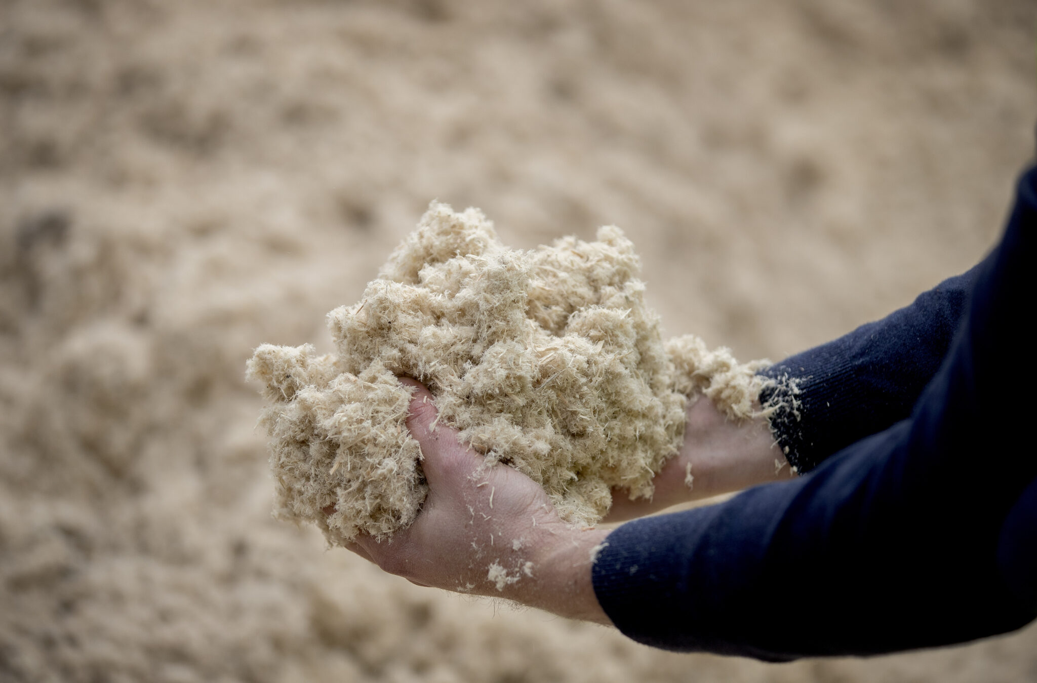 Blocking - Klasmann-Deilmann