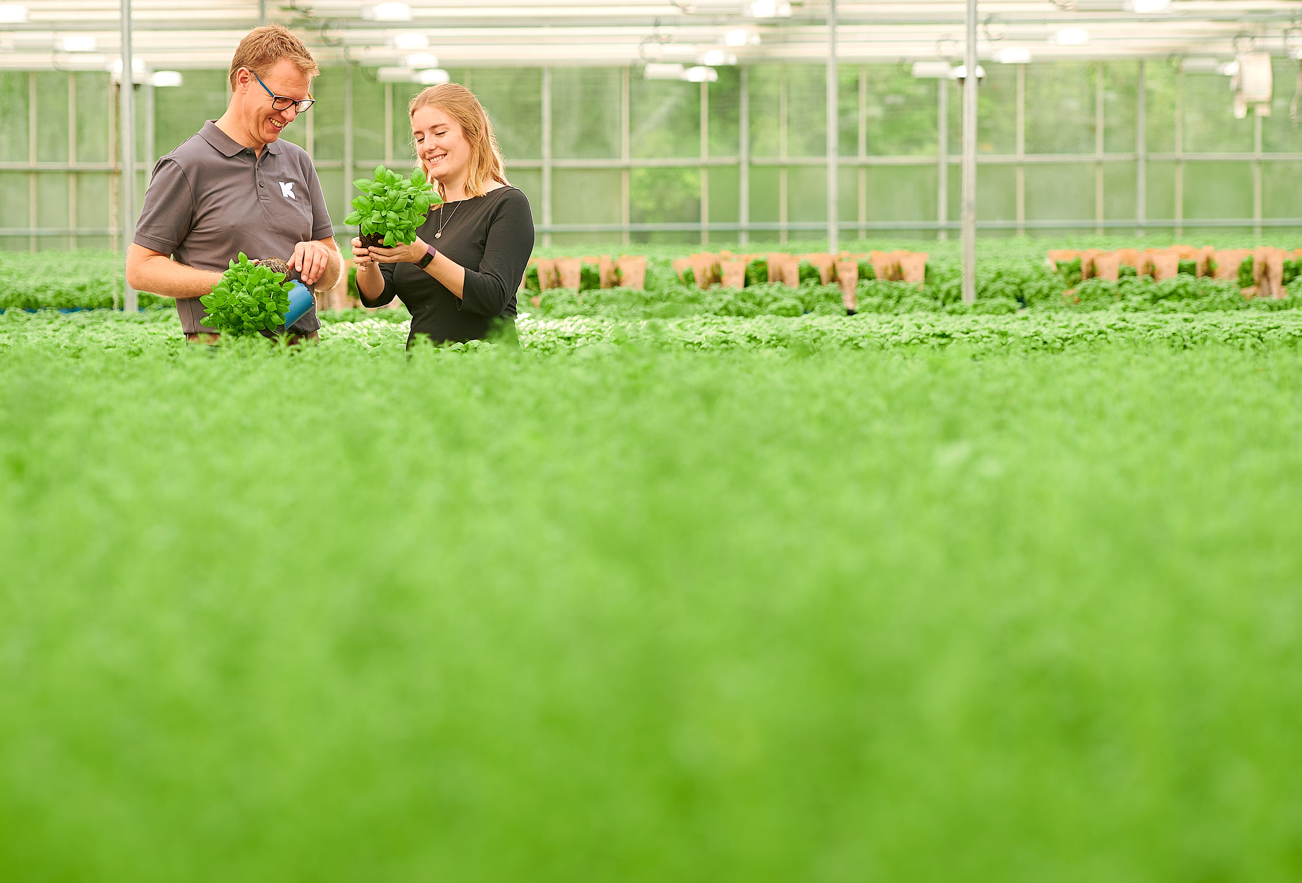 Produkte & Lösungen - Klasmann-Deilmann