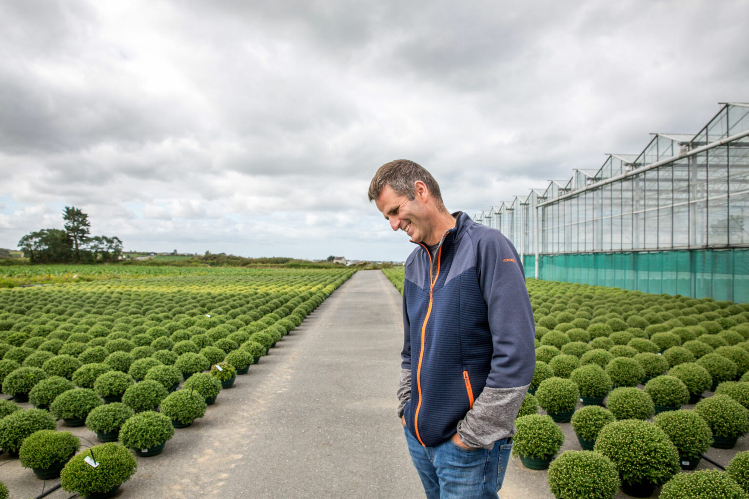 Home - Klasmann-Deilmann