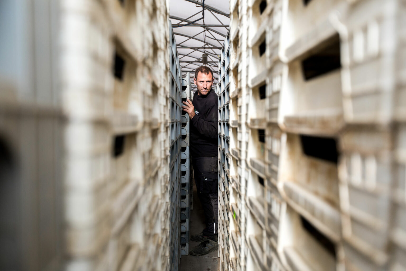 Home - Klasmann-Deilmann