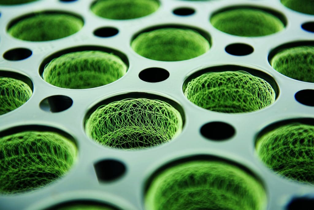 Innovative solutions for reliable growth - Klasmann-Deilmann