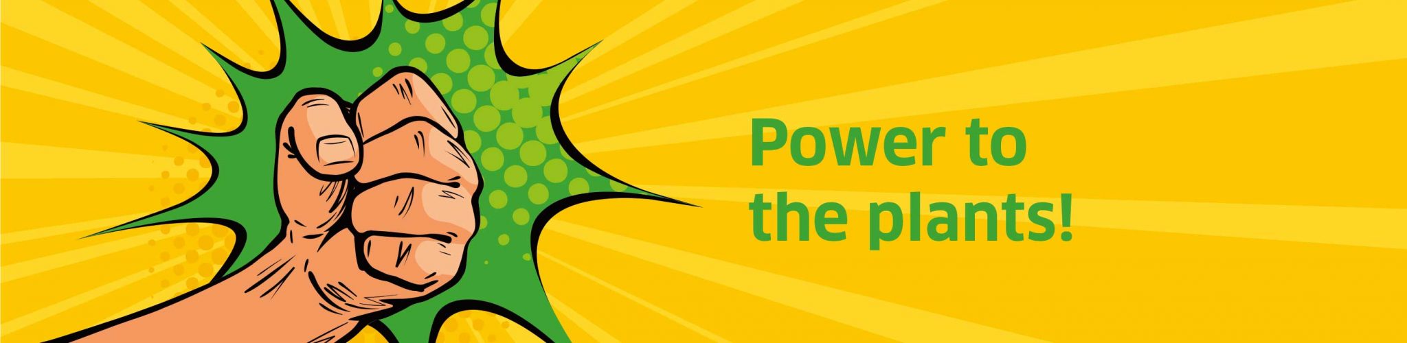 Pot plants - Klasmann-Deilmann