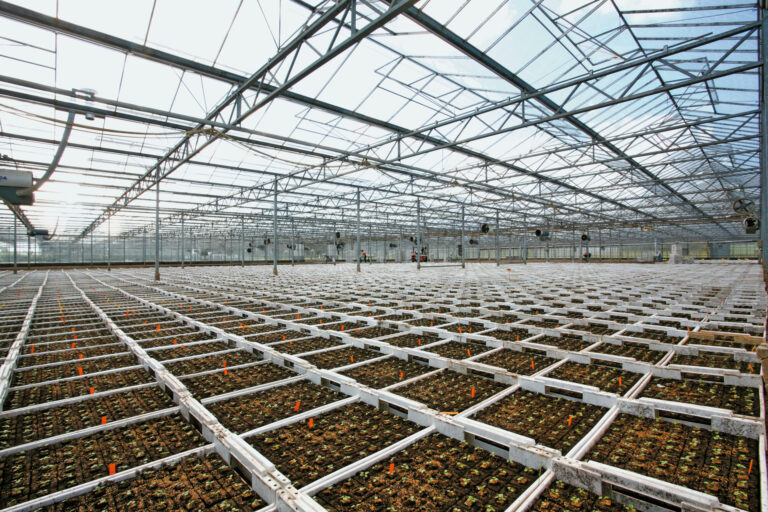 Blocking - Klasmann-Deilmann