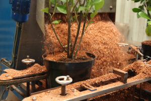 Nursery stock - Klasmann-Deilmann