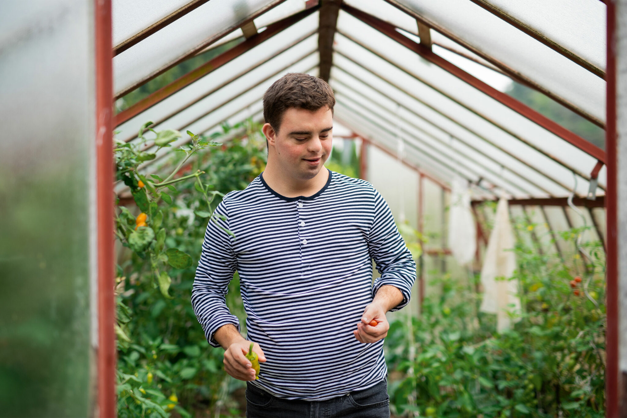 Florabella® Potting Soils - Klasmann-Deilmann