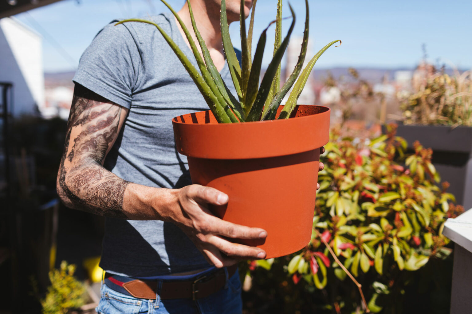 Florabella® Potting Soils - Klasmann-Deilmann