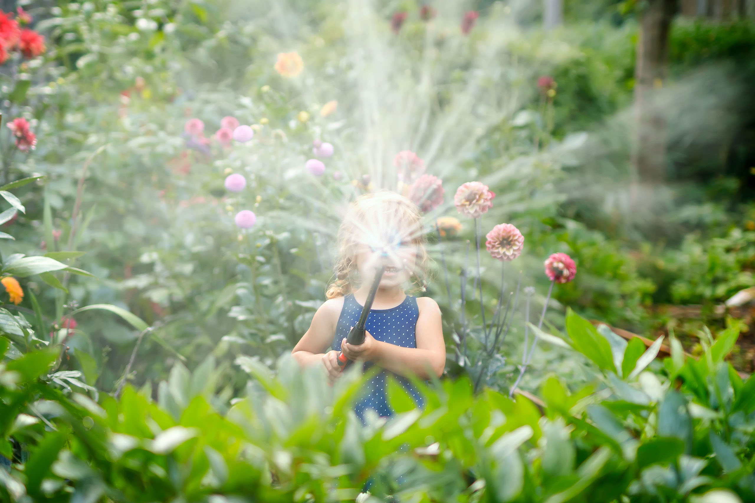 Products & solutions - Klasmann-Deilmann