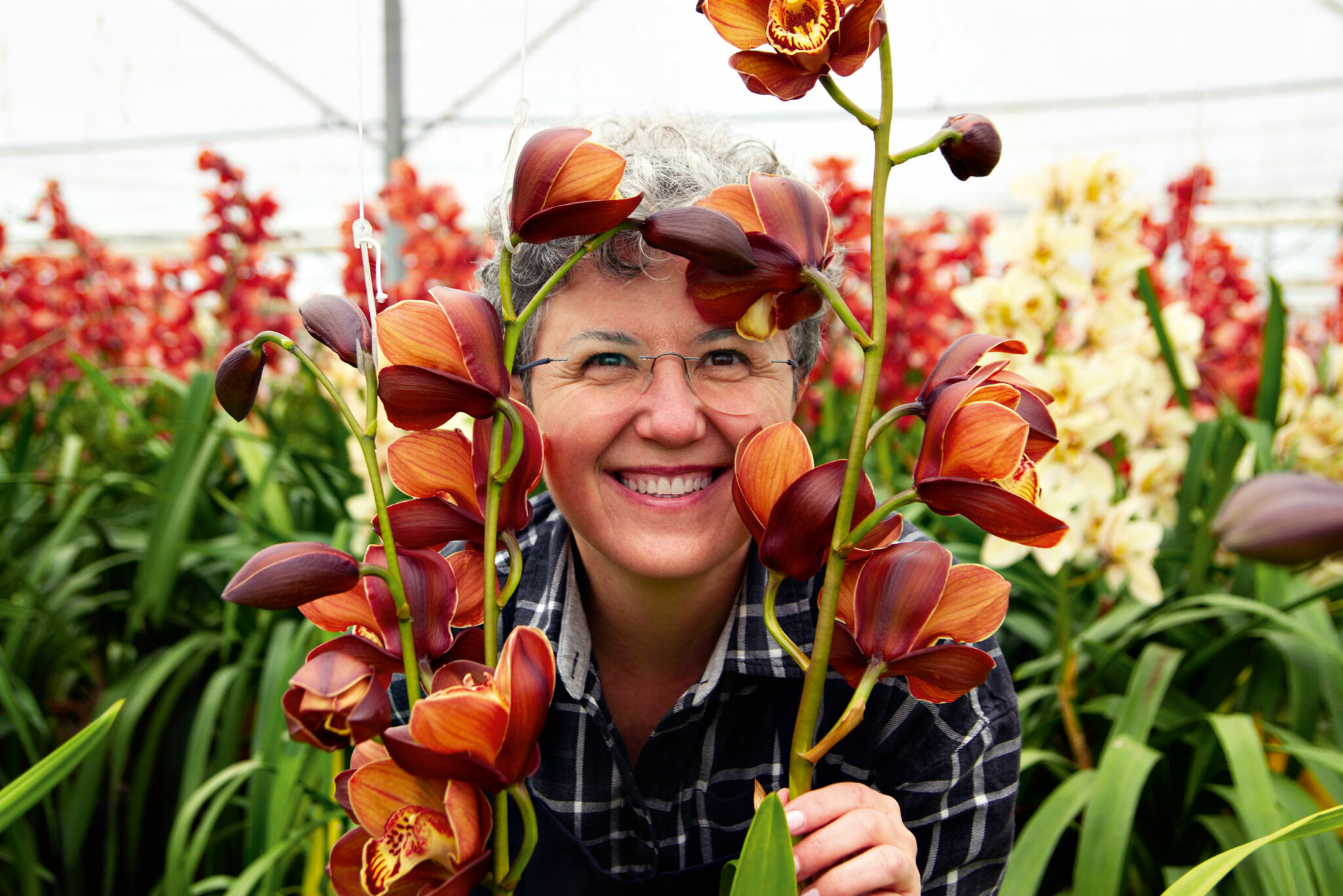 Florabella® Potting Soils - Klasmann-Deilmann