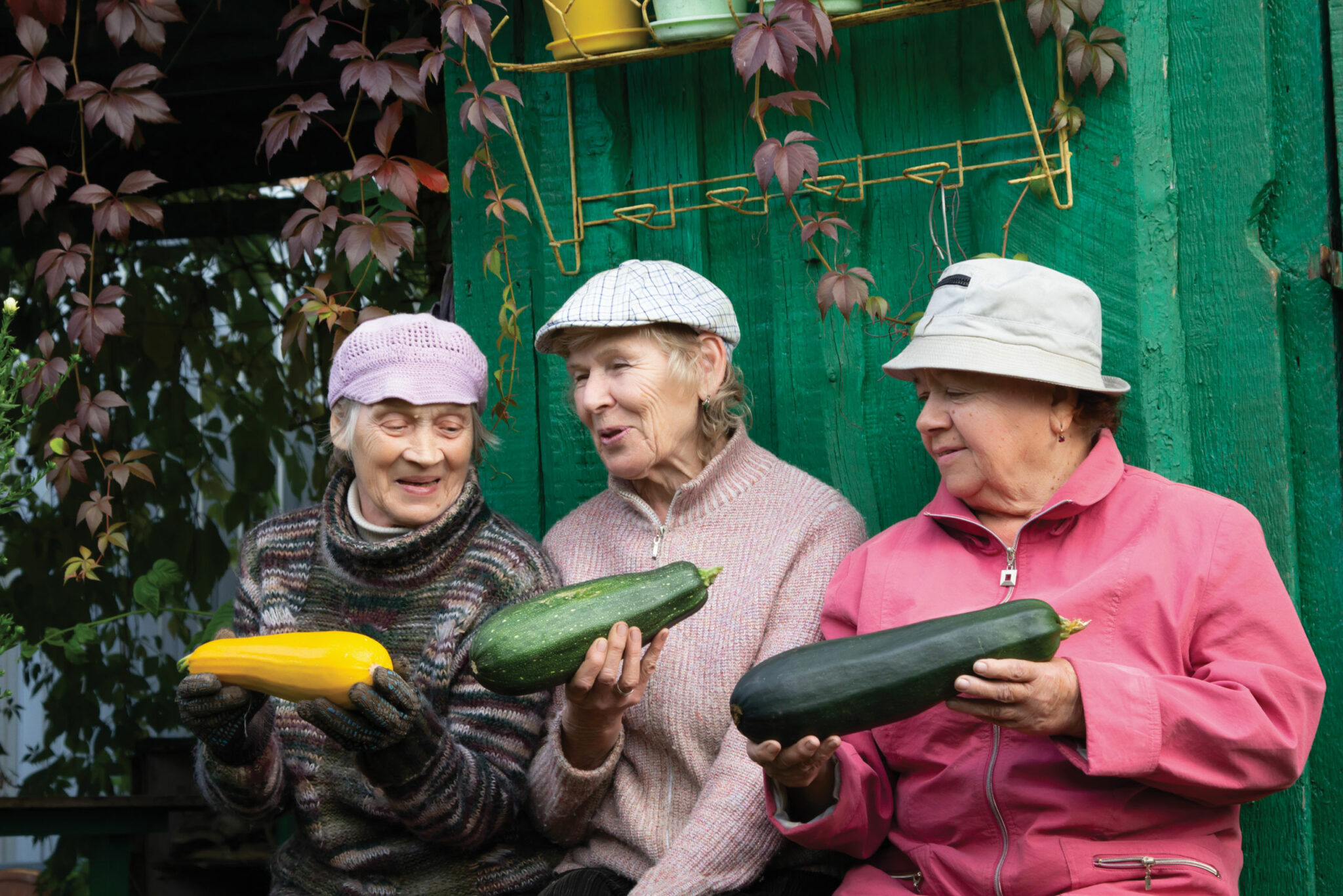 Florabella® Potting Soils - Klasmann-Deilmann