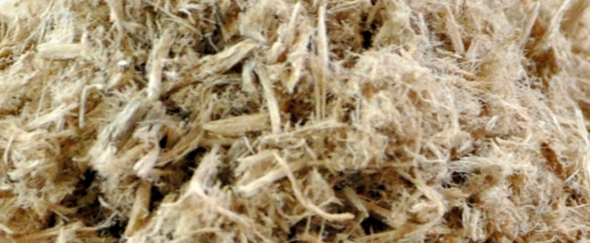 GreenFibre® - Klasmann-Deilmann