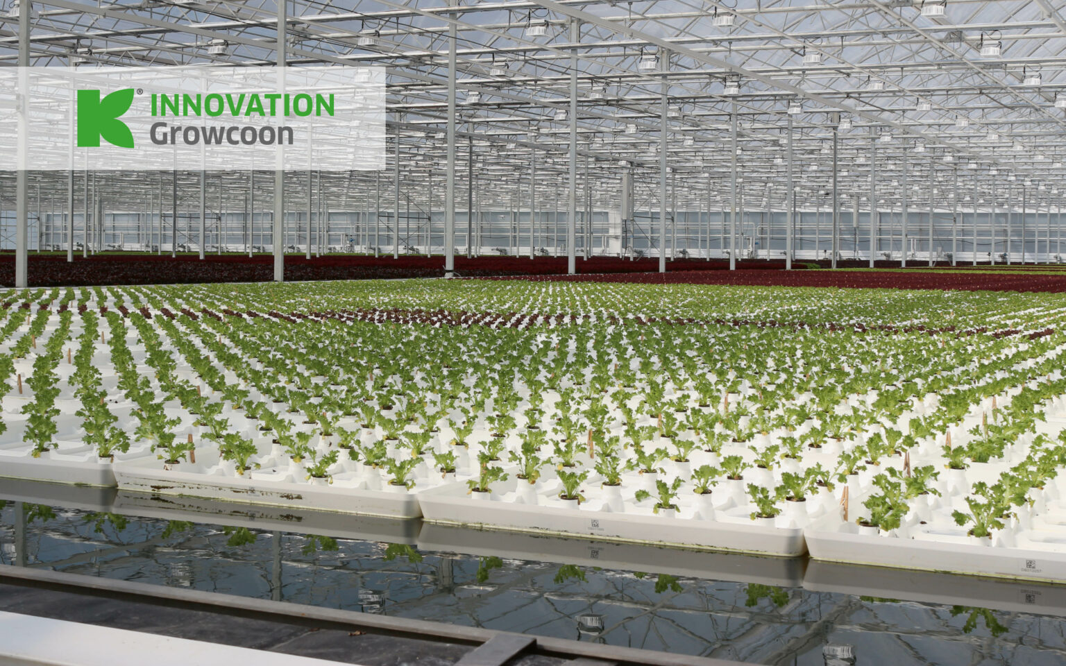 Growcoon - Klasmann-Deilmann