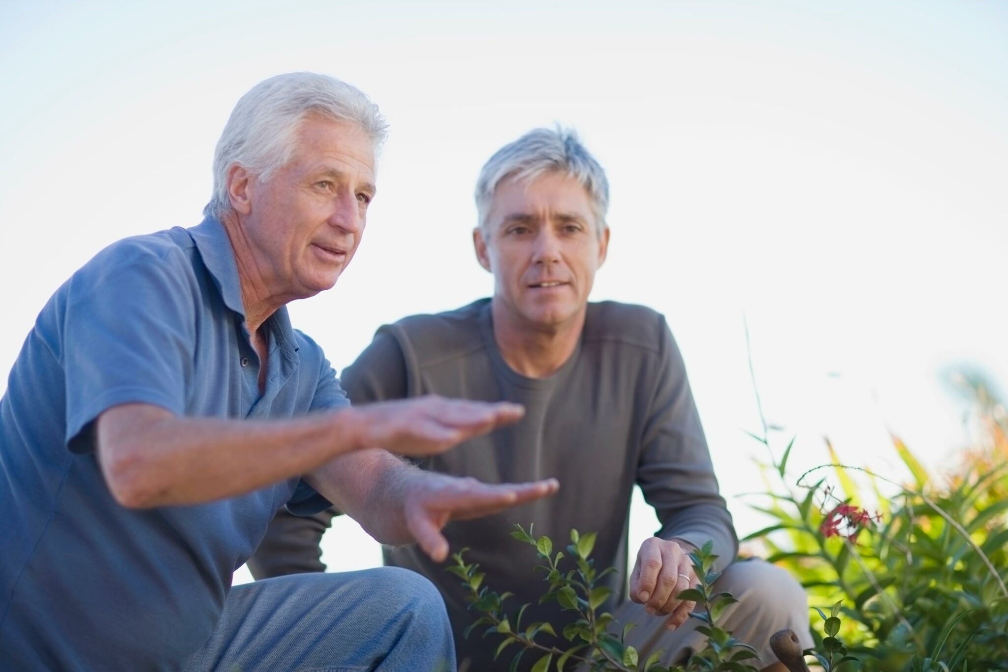 ProLine Substrates products - Klasmann-Deilmann