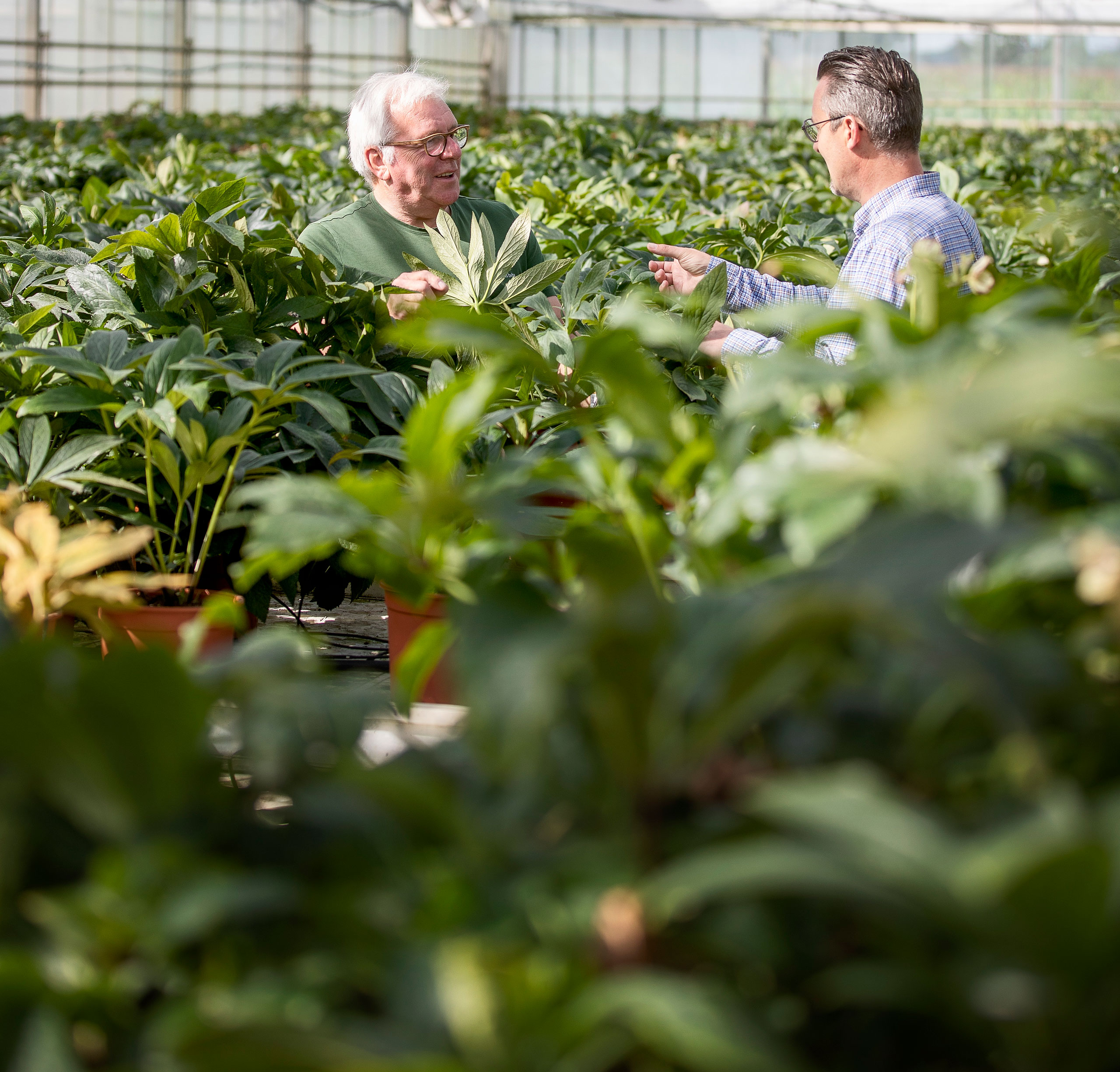 Products & solutions - Klasmann-Deilmann