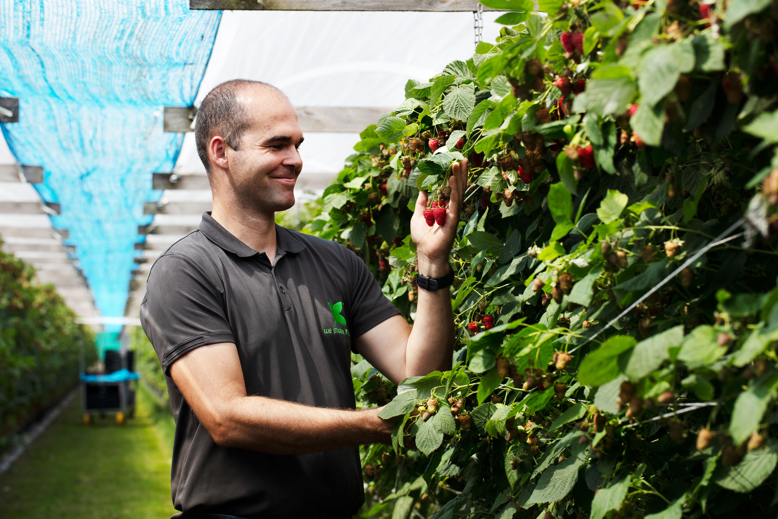 ADVANCED Substrates - Klasmann-Deilmann