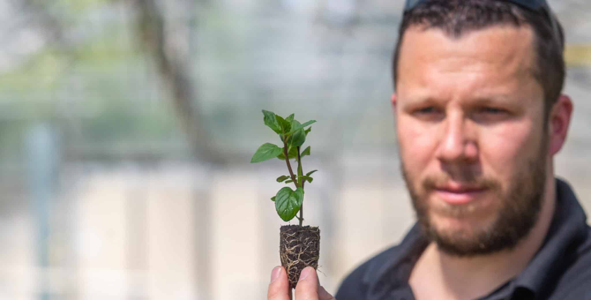 Relax - Klasmann-Deilmann