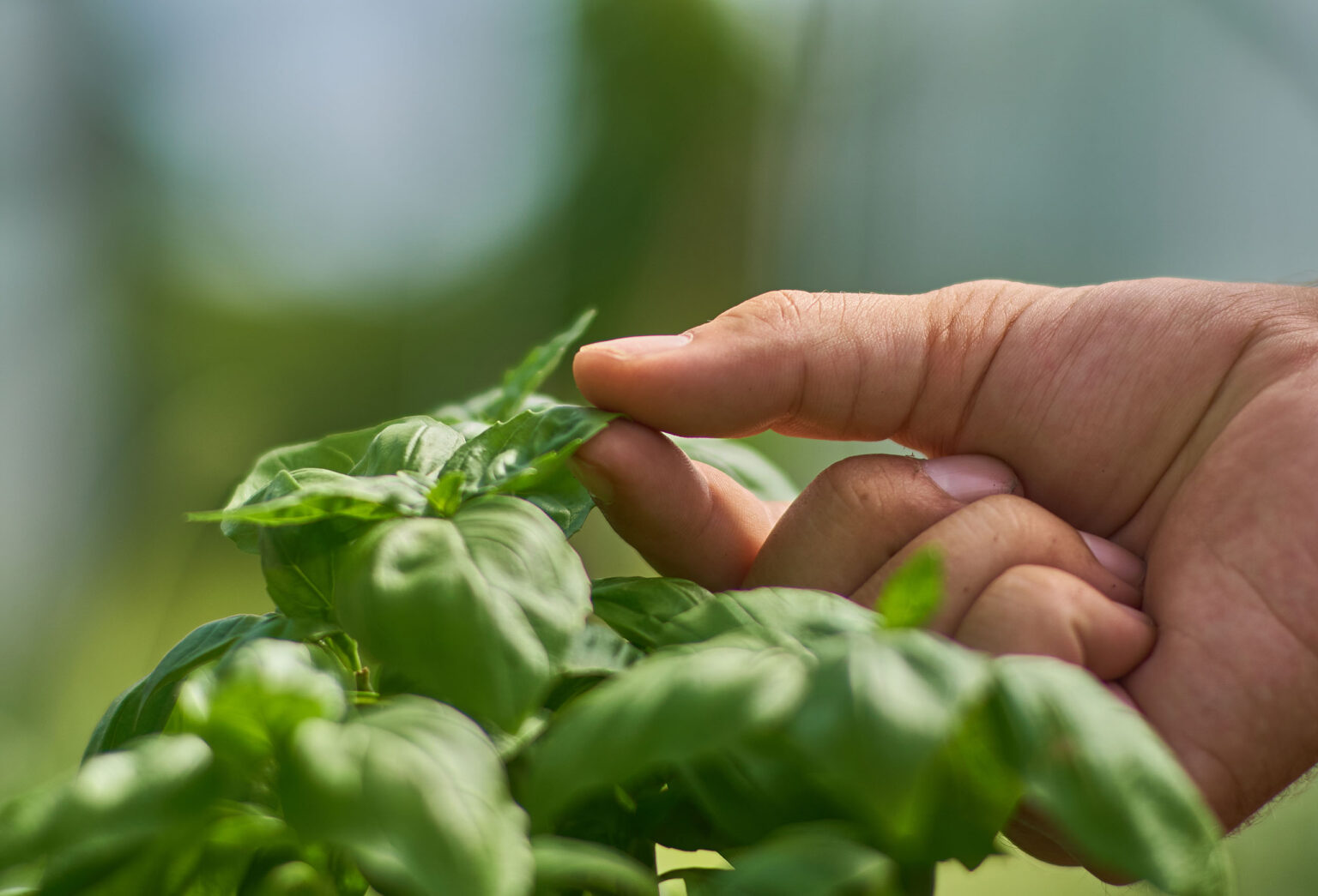 Home - Klasmann-Deilmann