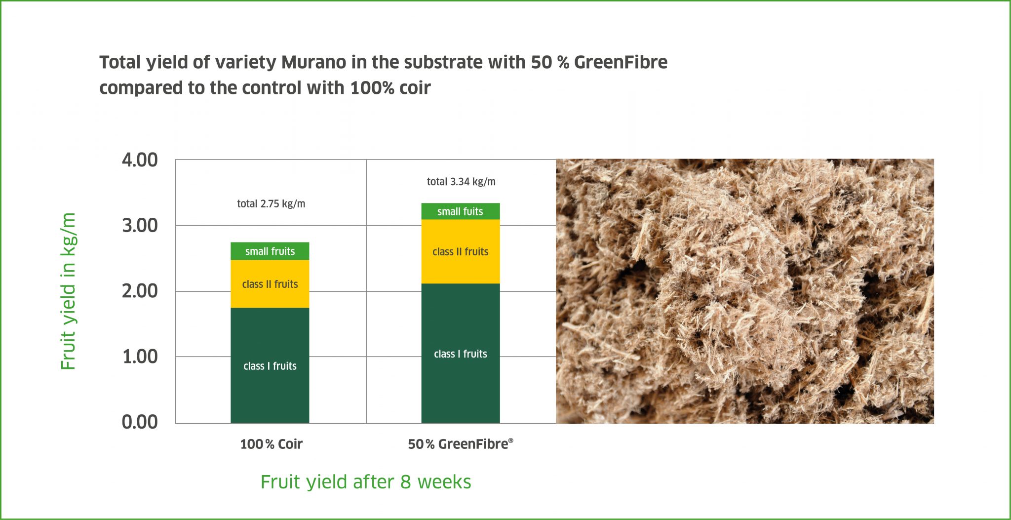 Strawberries - Klasmann-Deilmann